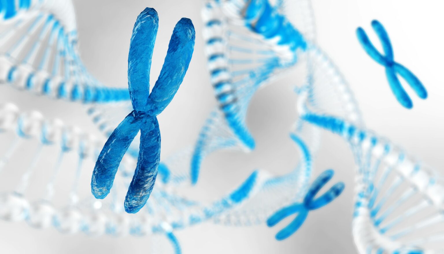 Why Autoimmune Diseases Affect Women More Than Men