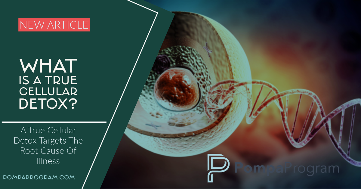 What Is A True Cellular Detox? | Pompa Program