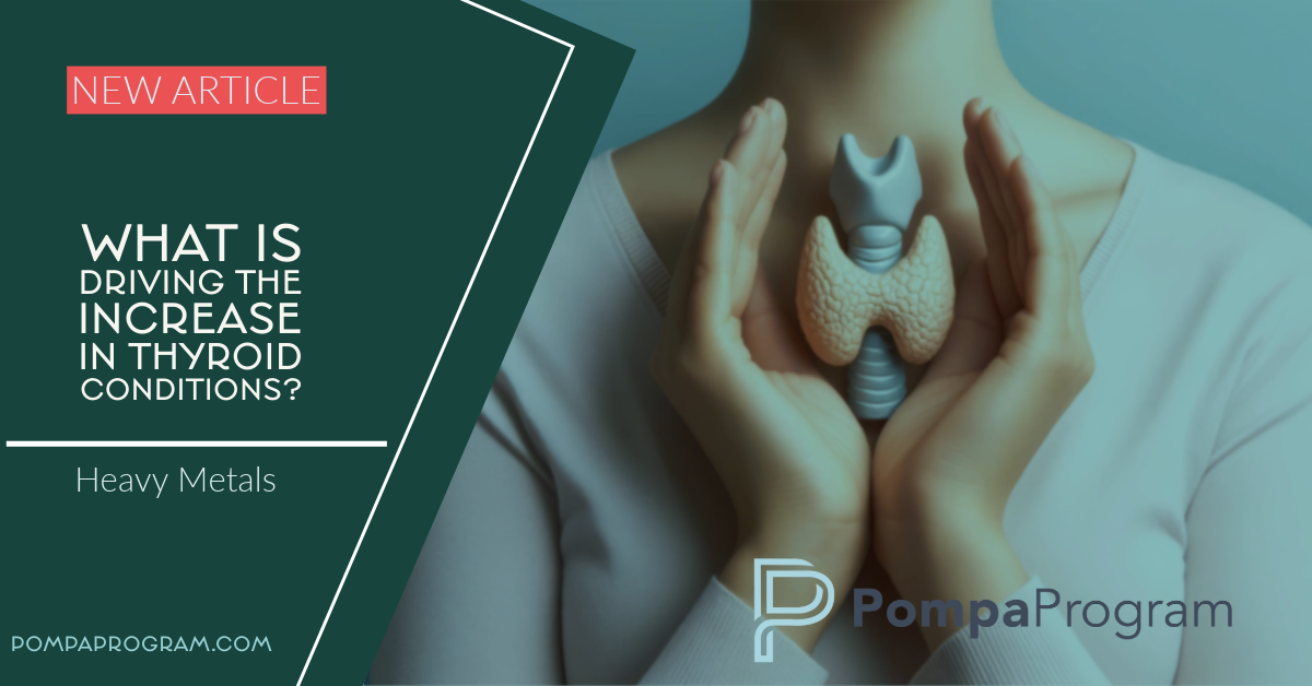 What Is Driving The Increase In Thyroid Conditions? | Pompa Program