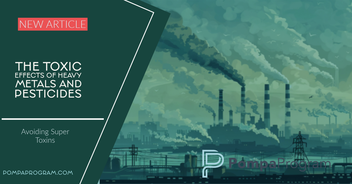 The Toxic Effects Of Heavy Metals And Pesticides | Pompa Program